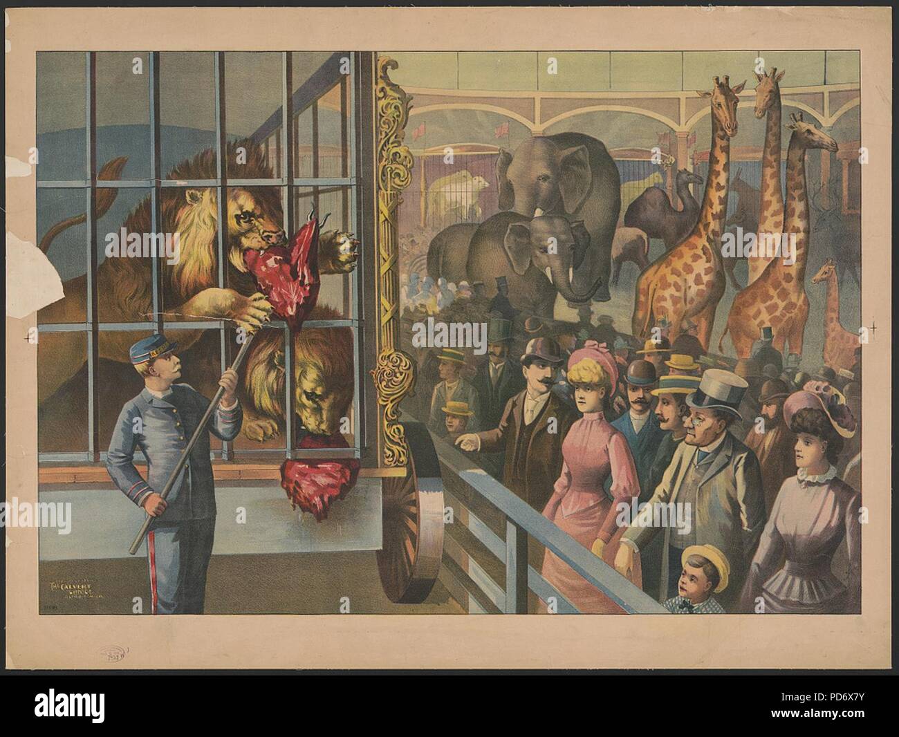 Circus cage hi-res stock photography and images - Alamy