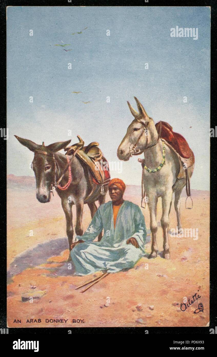 An Arab Donkey Boy Stock Photo - Alamy