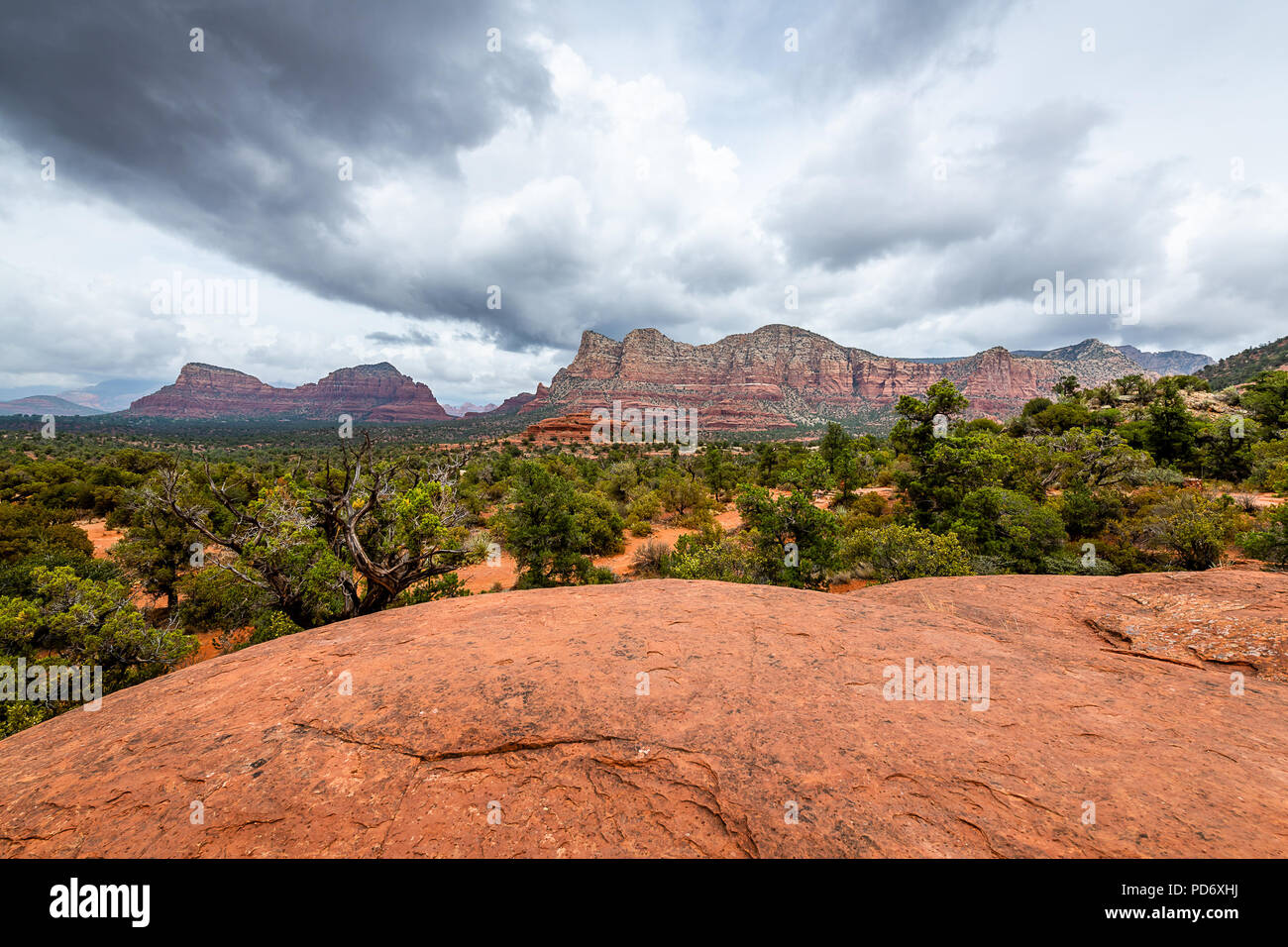 The Bell Rock Pathway Stock Photo - Alamy