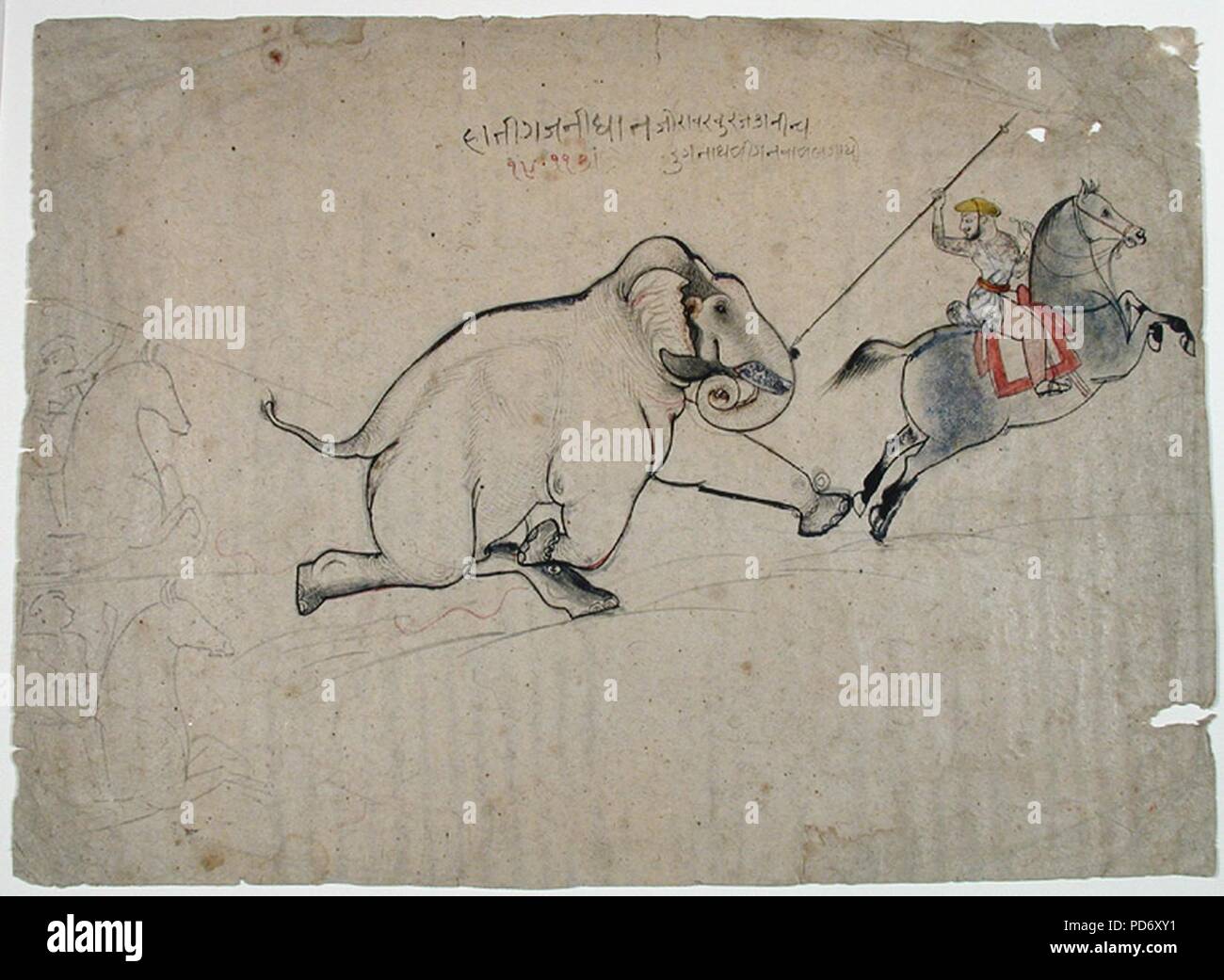 An elephant chasing a horse and rider Stock Photo - Alamy