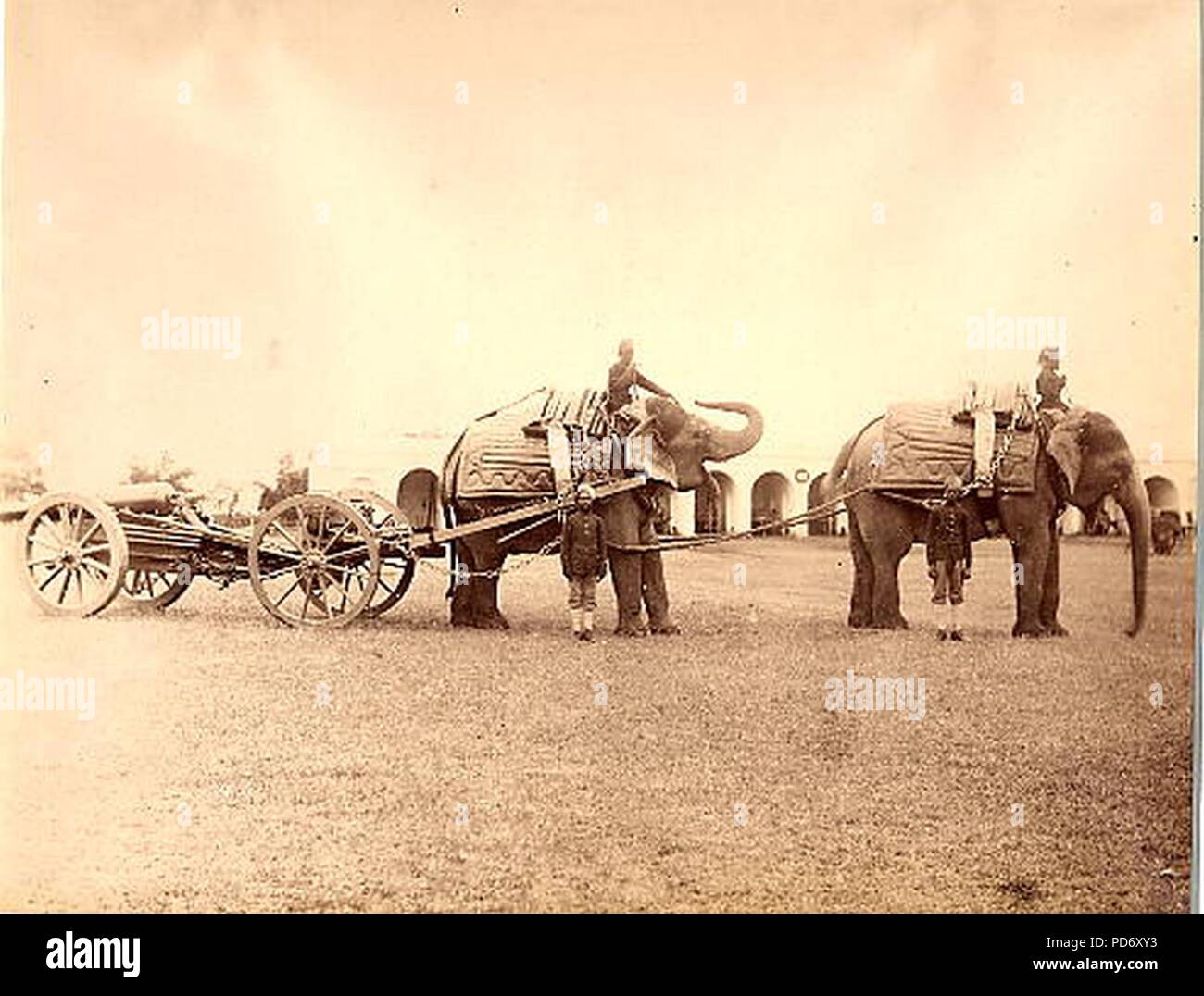 An elephant heavy field battery at Mhow‘ 1897 Stock Photo - Alamy