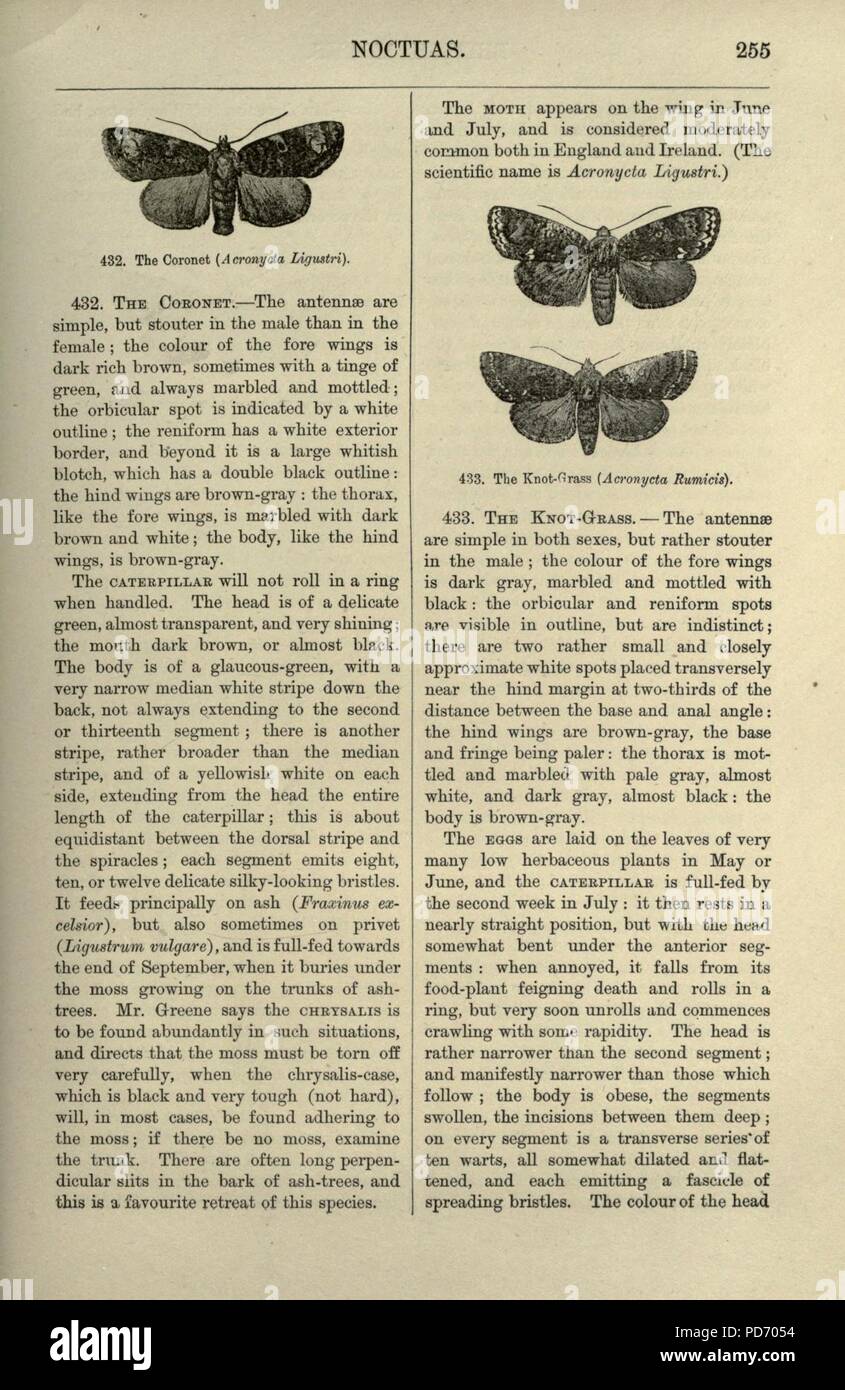 An illustrated natural history of British butterflies and moths (Page ...