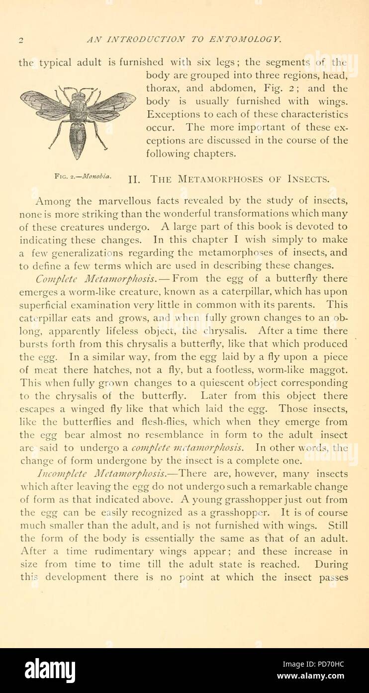 An introduction to entomology (Page 2 Stock Photo - Alamy