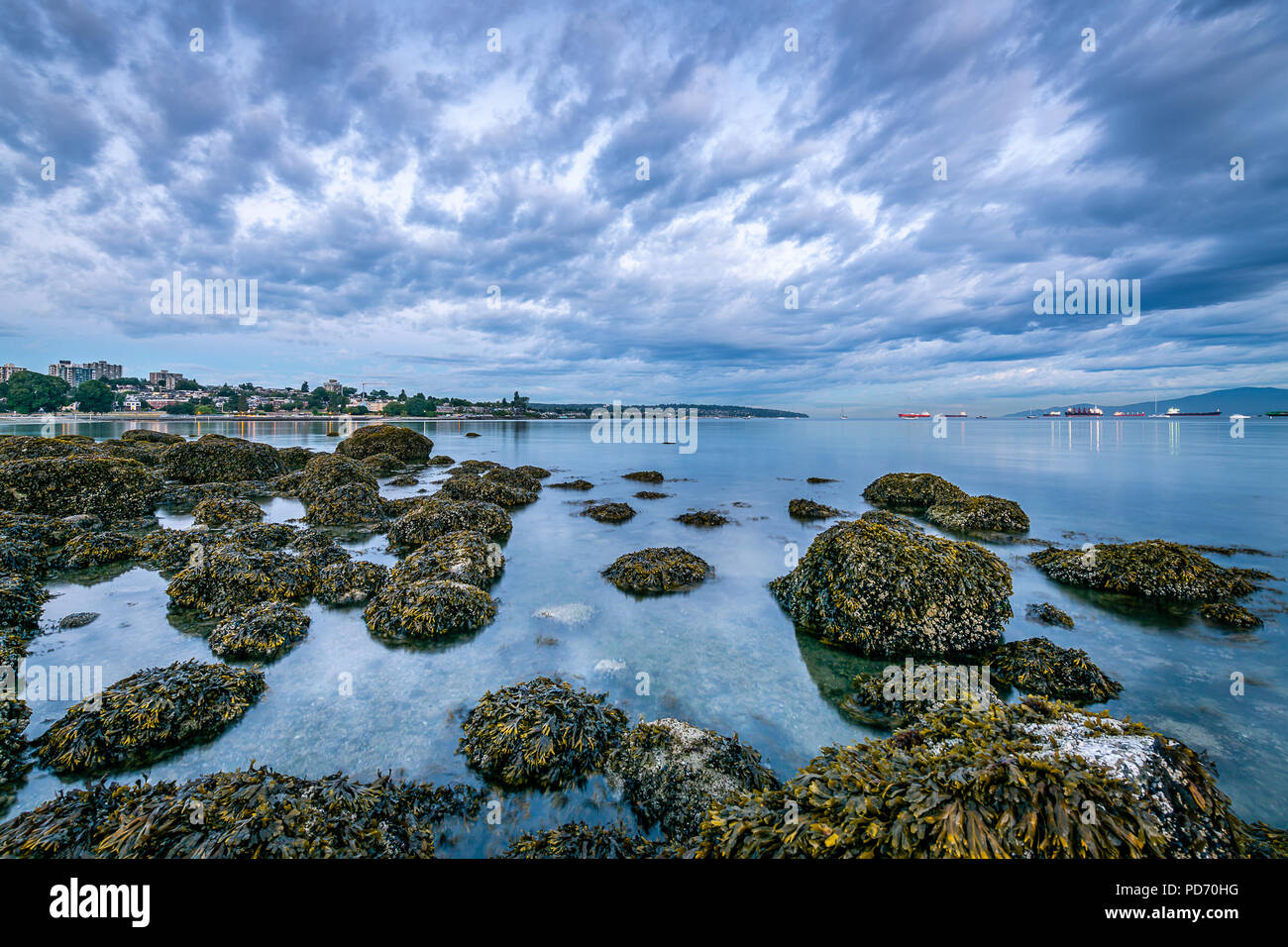 Kitsilano hi-res stock photography and images - Alamy