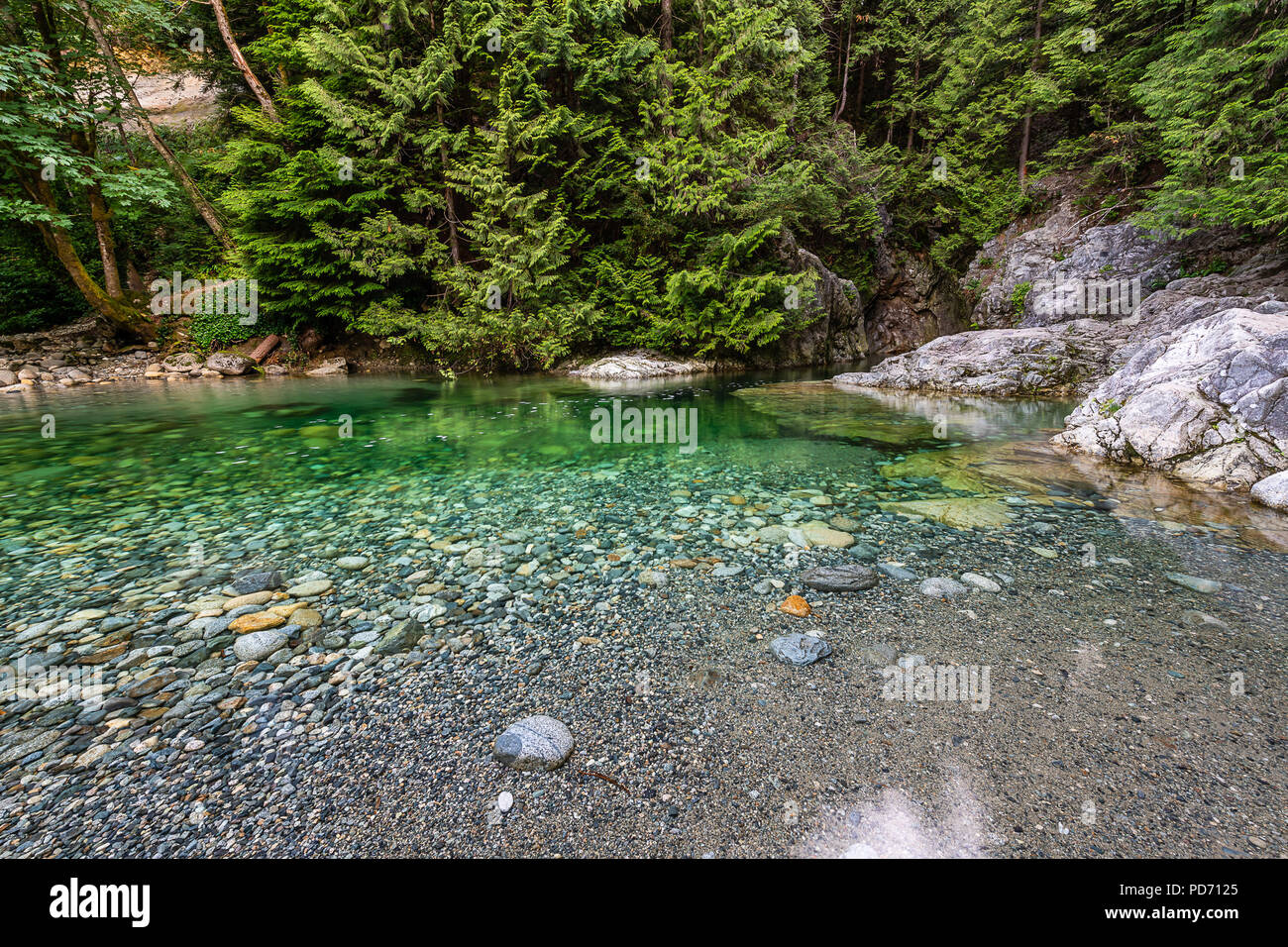 30 Foot Pool in Lynn Canyon Park Stock Photo - Alamy