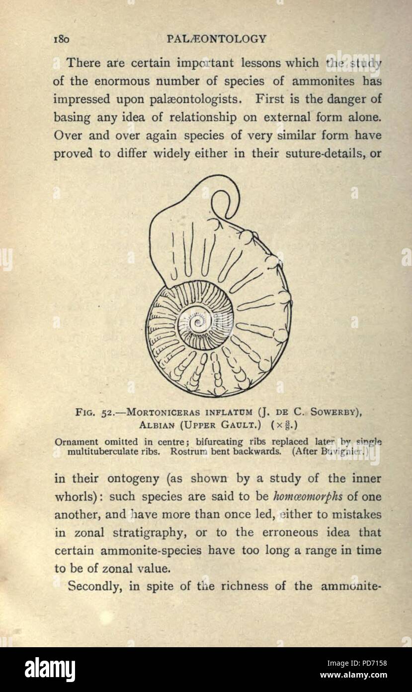 An introduction to palaeontology (Page 180 Stock Photo - Alamy