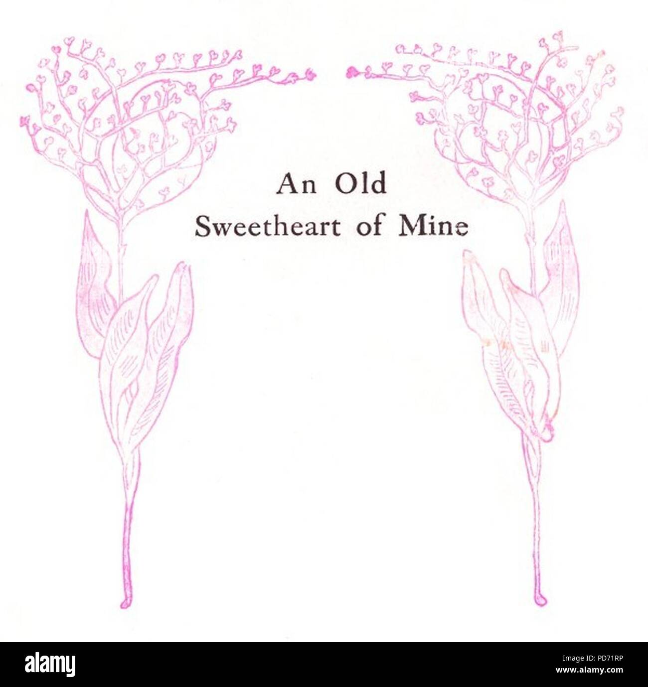 An Old Sweetheart of Mine 5 Stock Photo - Alamy