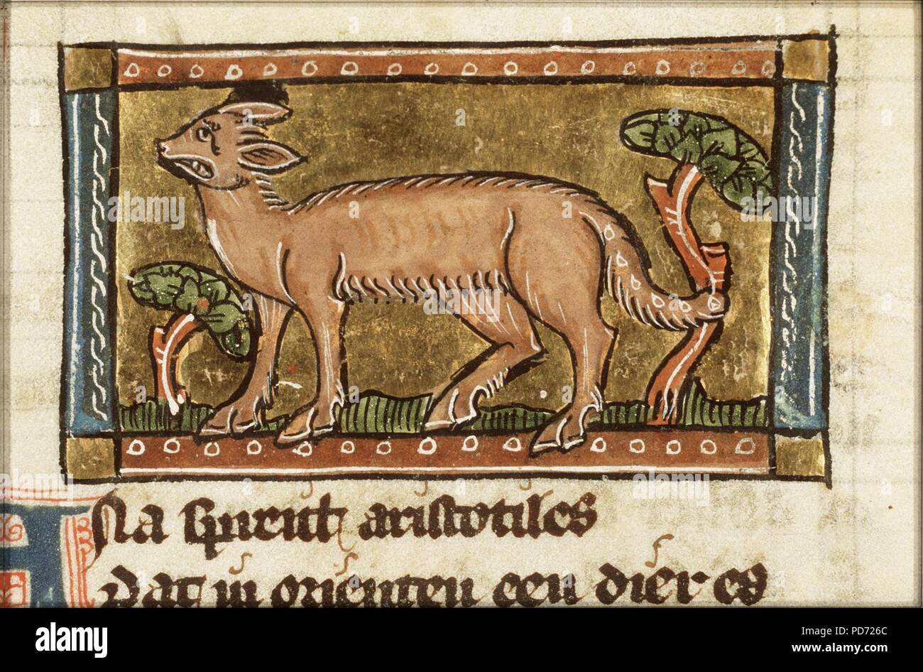 Ana - Der naturen bloeme - Jacob van Maerlant - KB KA 16 - 047r b1 ...