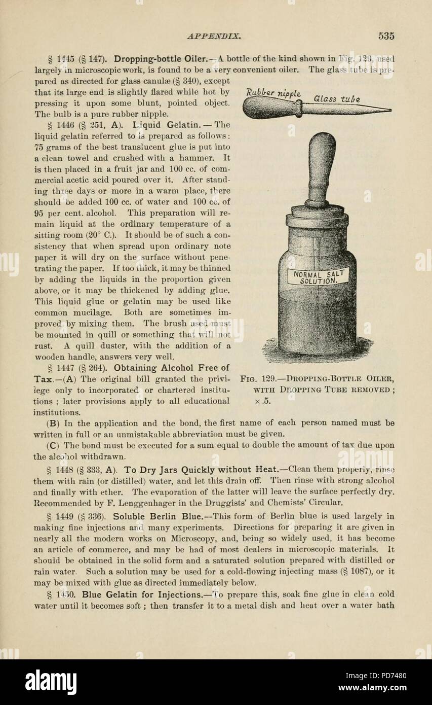 Anatomical technology as applied to the domestic cat (Page 535 Stock ...