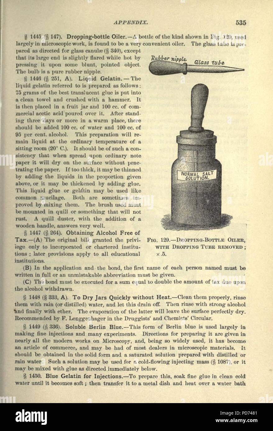 Anatomical technology as applied to the domestic cat (Page 535 Stock ...