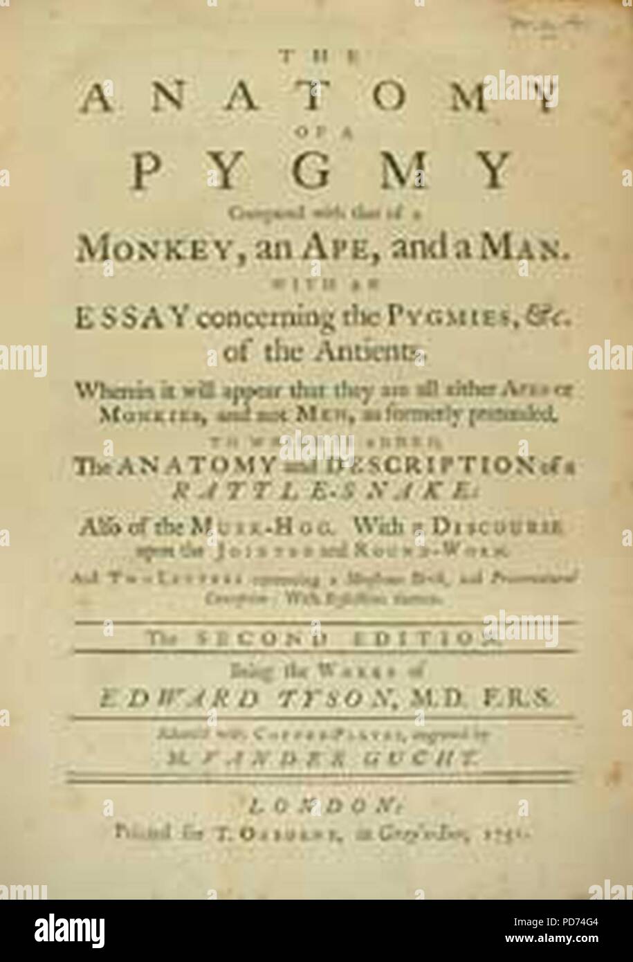 Anatomy of a pygmy Stock Photo - Alamy