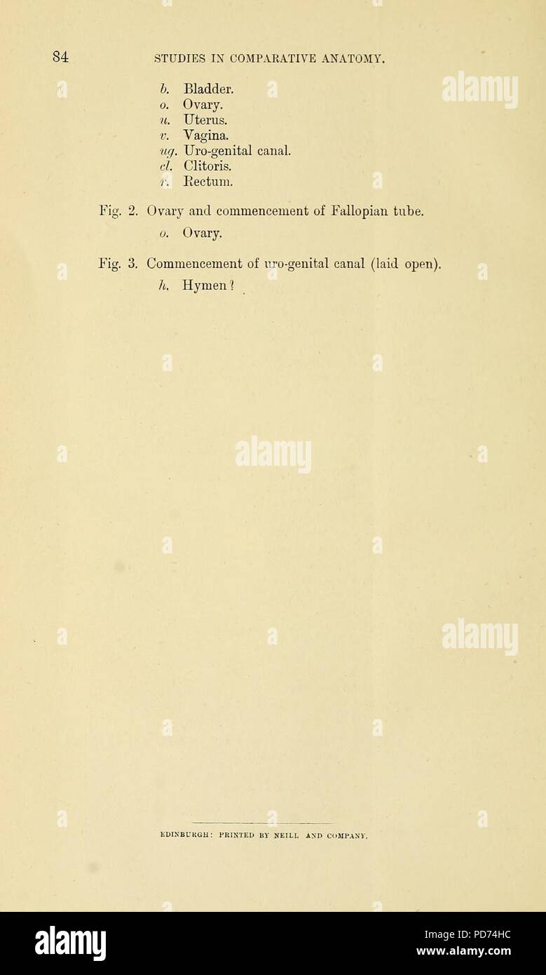 See page 84 hi-res stock photography and images - Alamy