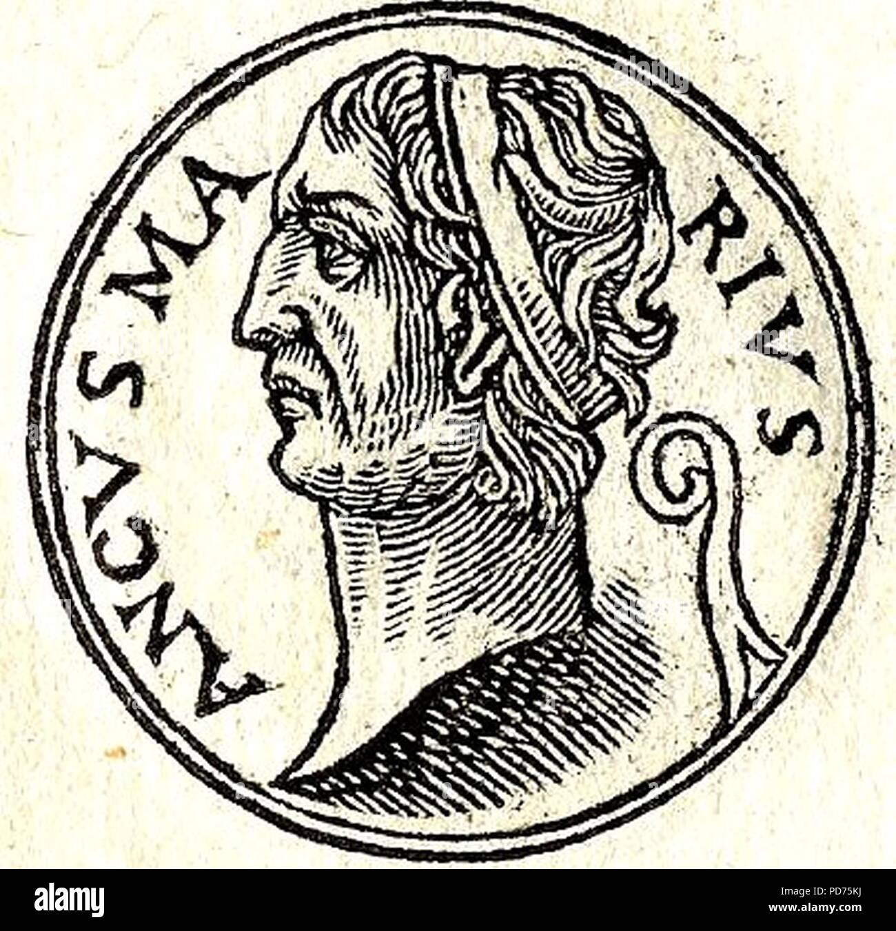 Ancus hi-res stock photography and images - Alamy