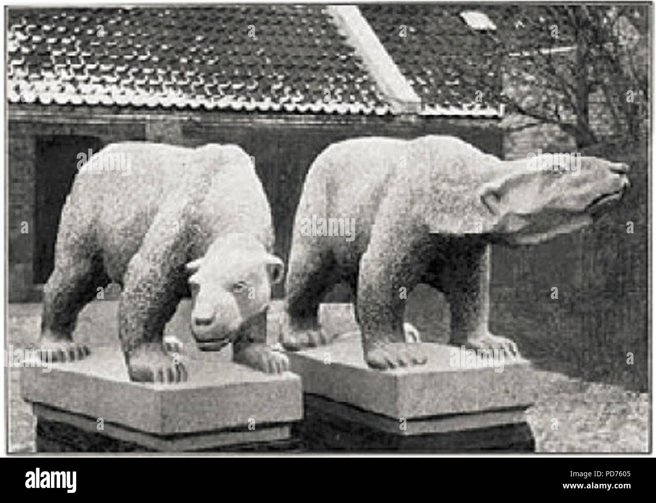 Anders Bundgaard's polar bears in R'nne Stock Photo - Alamy