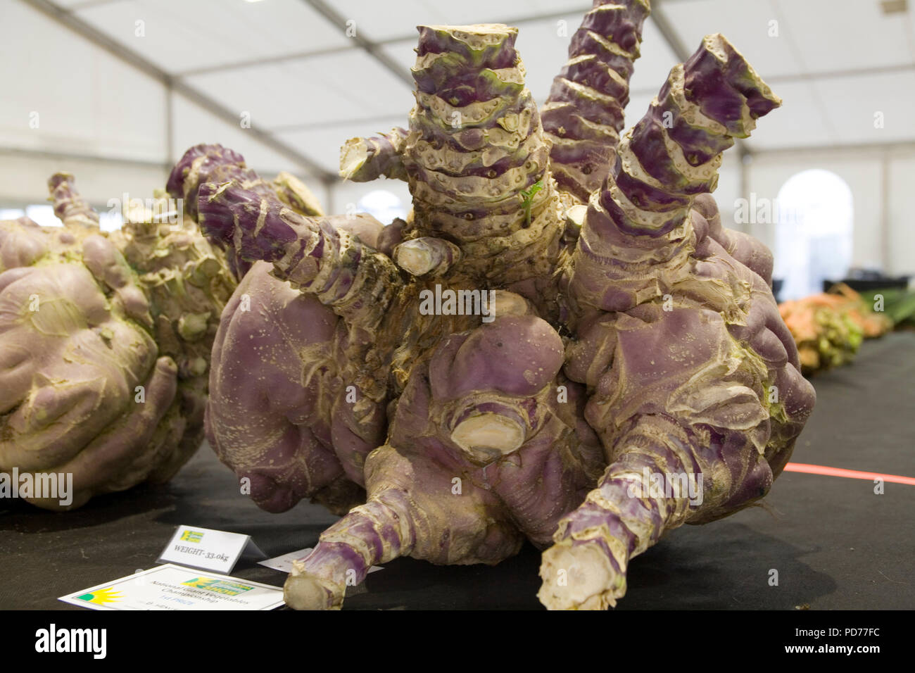 Giant vegetables Stock Photo - Alamy