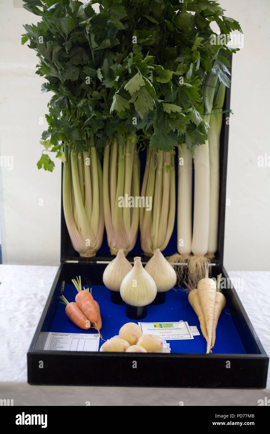 Competition vegetables hi-res stock photography and images - Alamy