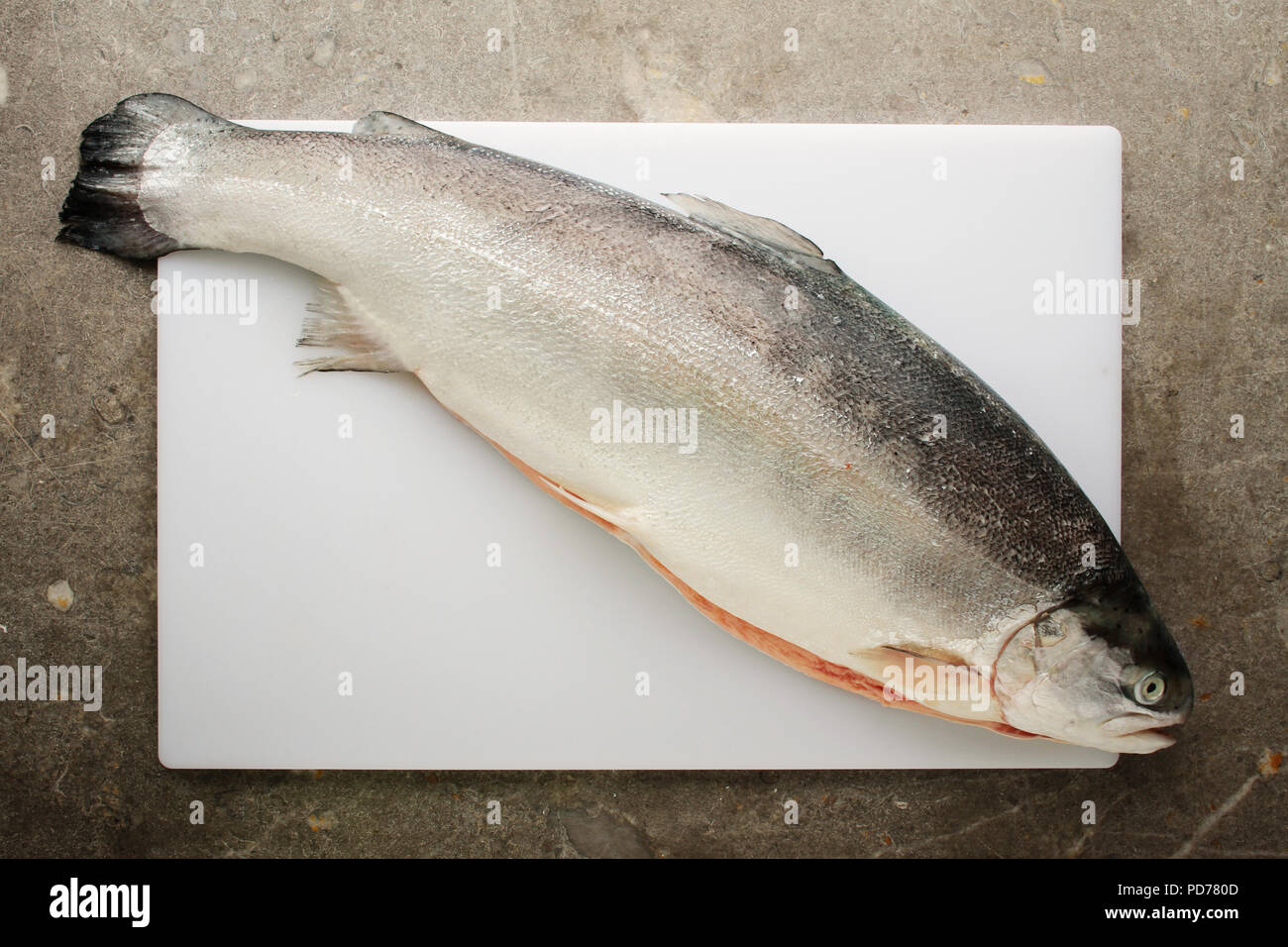 fresh wild sea trout Stock Photo - Alamy