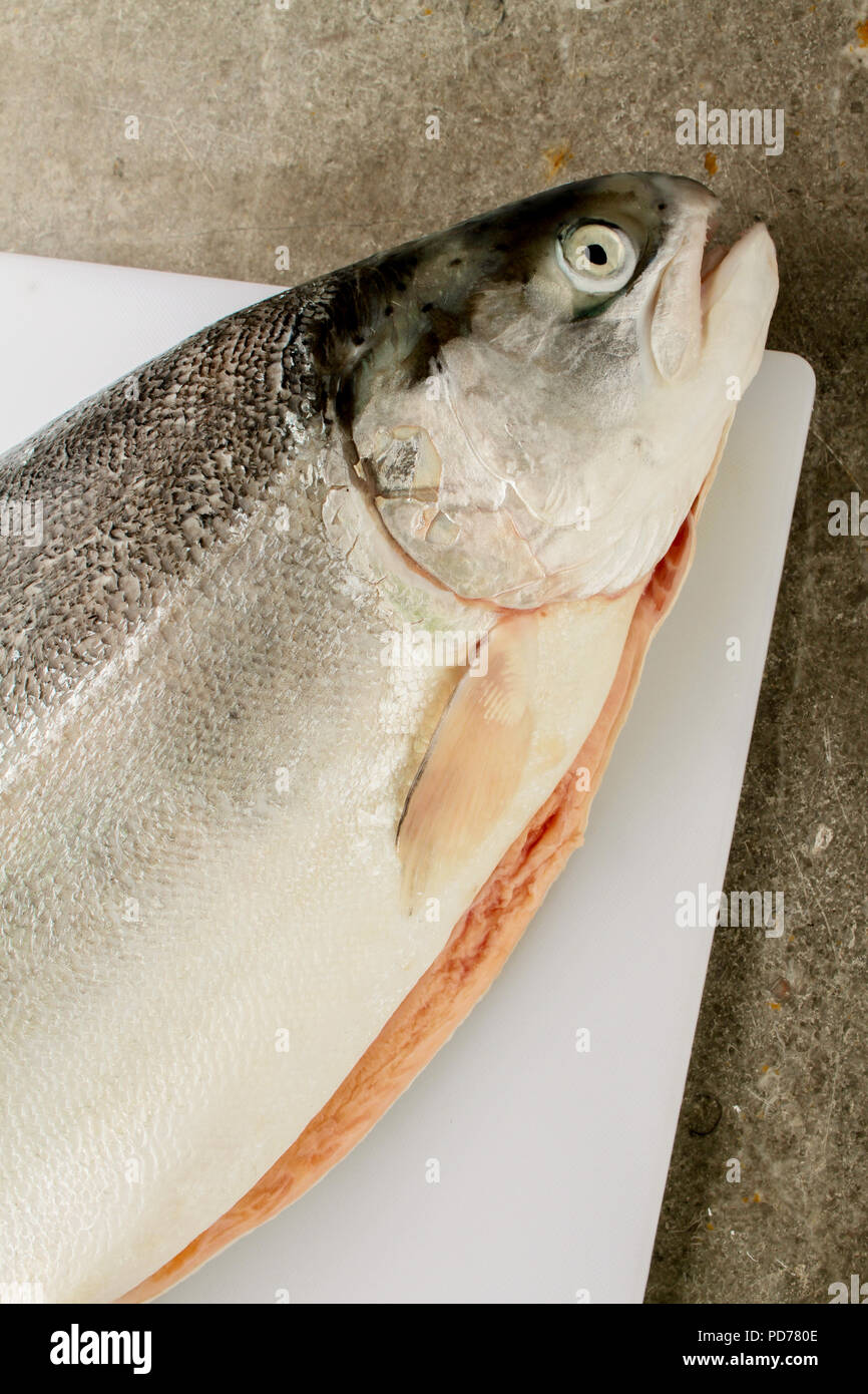fresh wild sea trout Stock Photo - Alamy