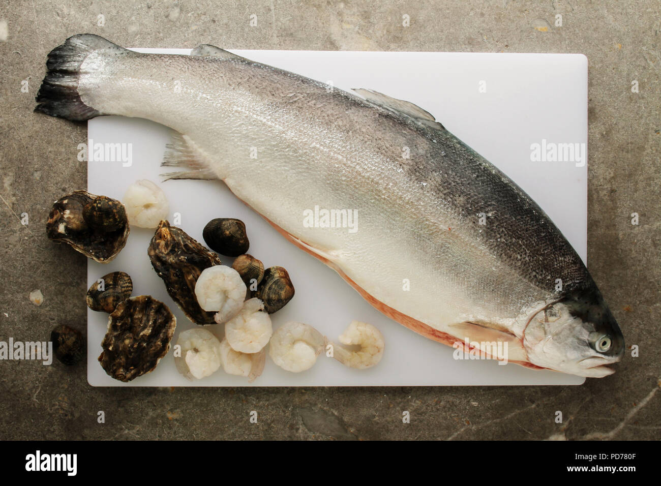fresh wild sea trout Stock Photo - Alamy