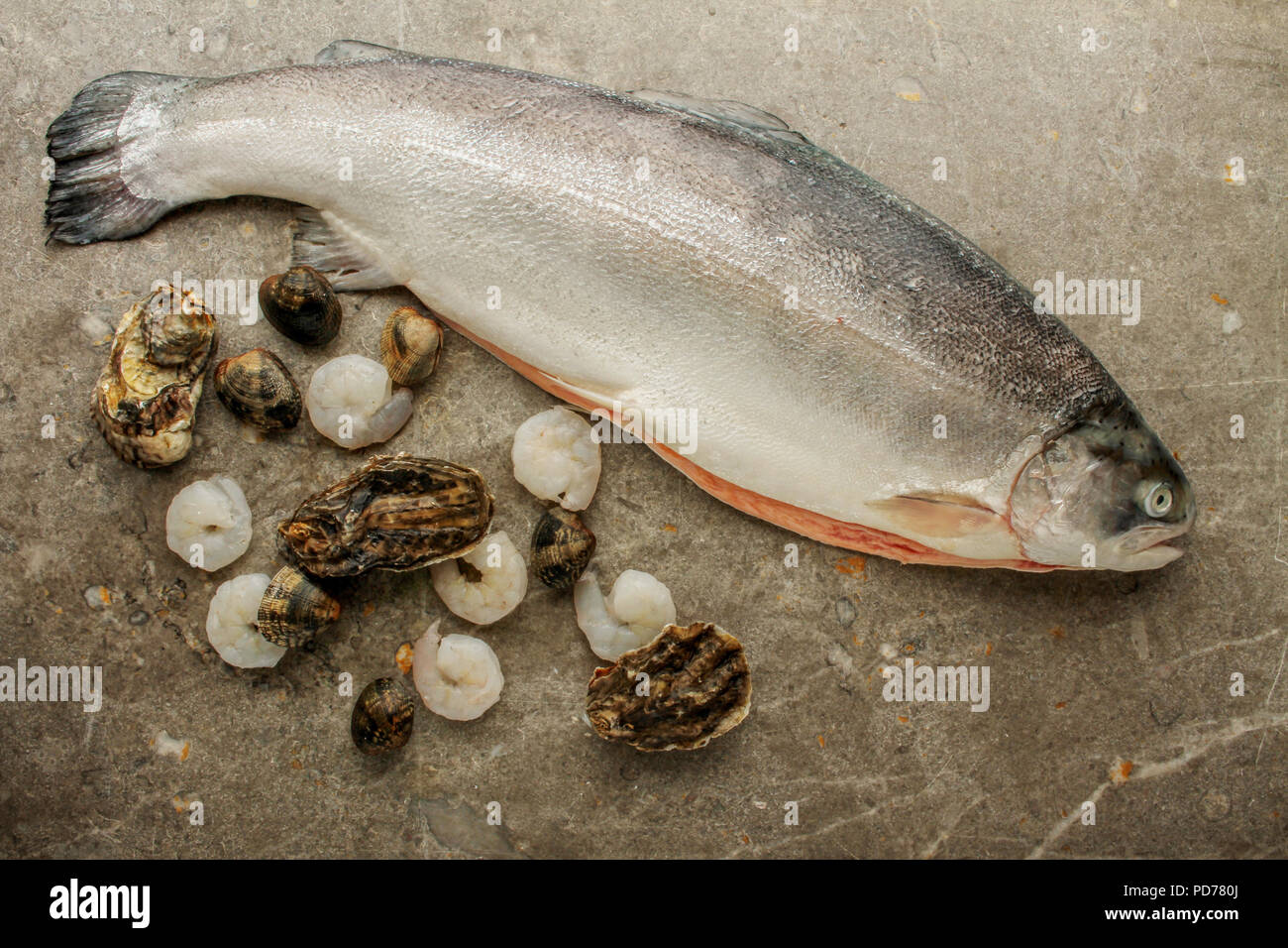 fresh wild sea trout Stock Photo - Alamy