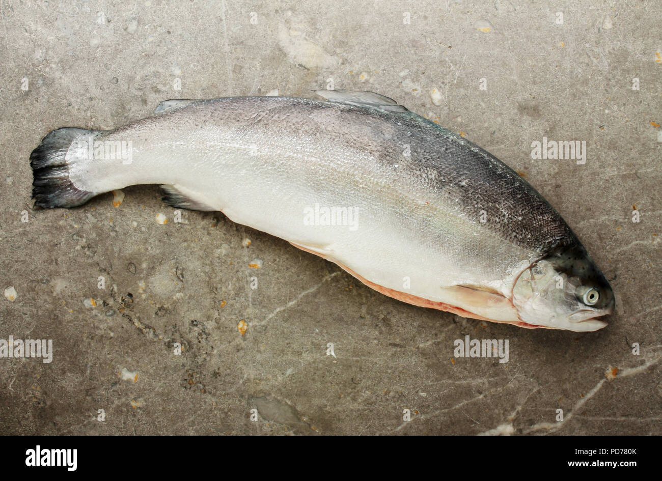 fresh wild sea trout Stock Photo - Alamy