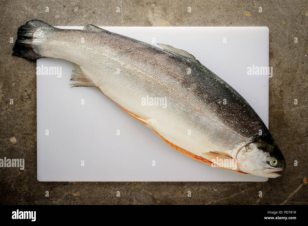 fresh wild sea trout Stock Photo - Alamy