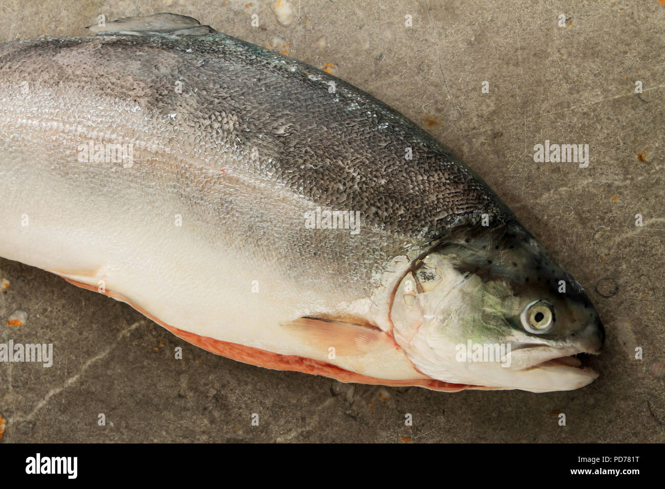 Prime seafood hi-res stock photography and images - Alamy