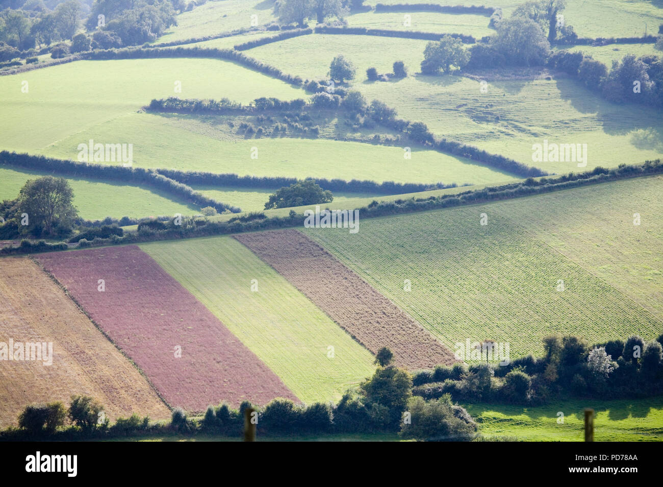 Ploughed field overhead hi-res stock photography and images - Alamy
