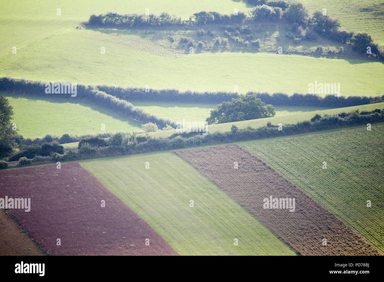 Ploughed field overhead hi-res stock photography and images - Alamy