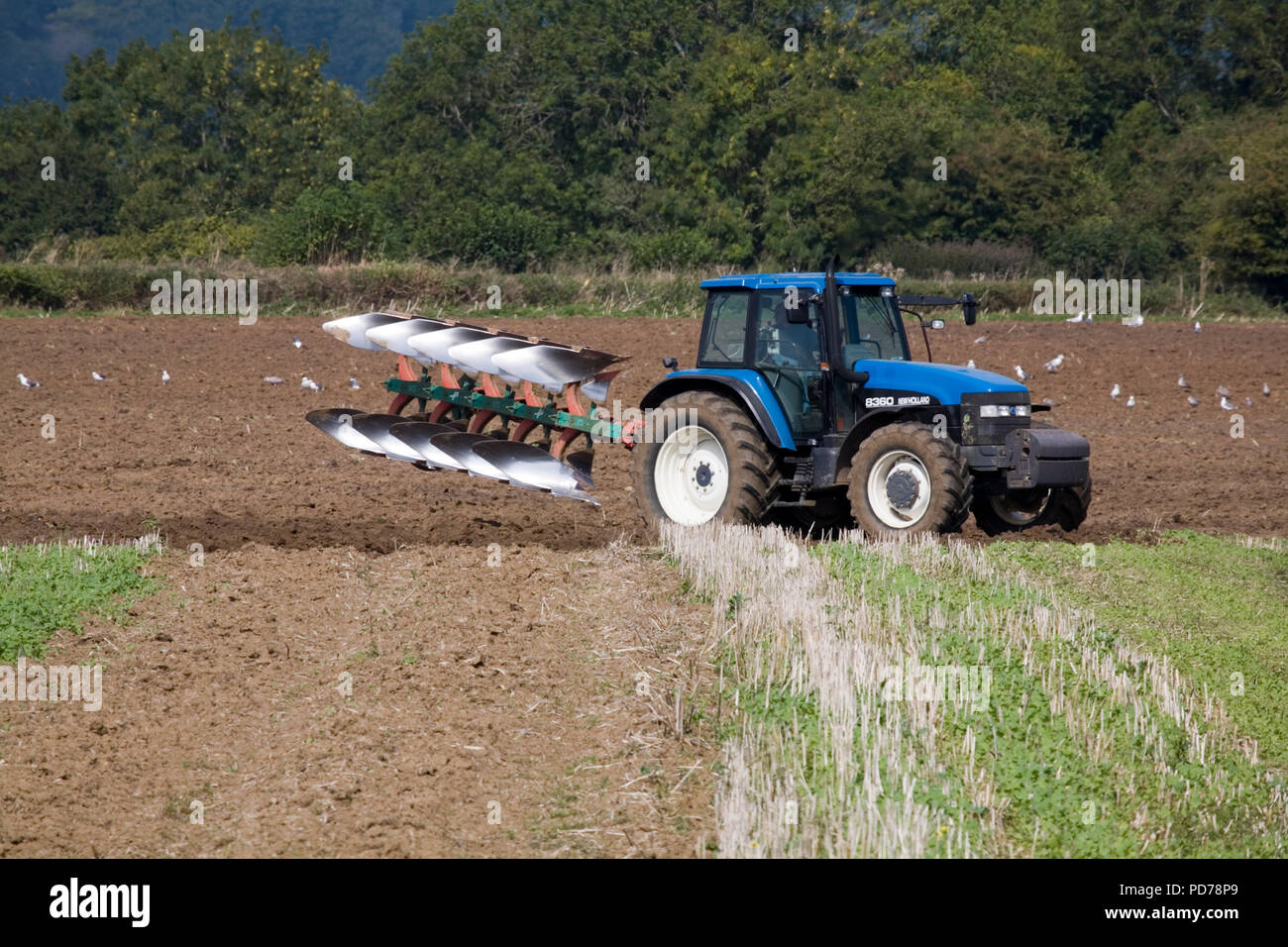 New Holland 8360 tractor Ploughing Stock Photo - Alamy