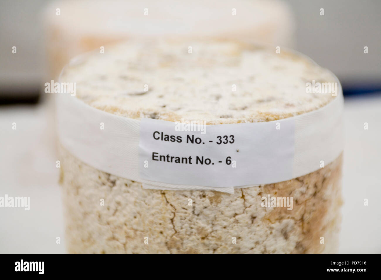 Prize cheese hi-res stock photography and images - Alamy