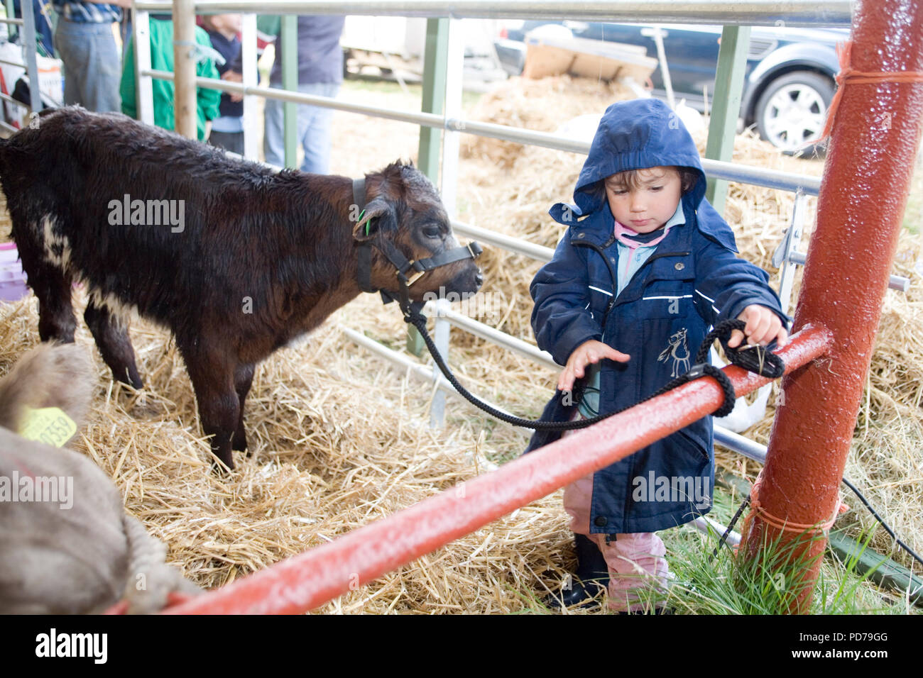 Dexter show hi-res stock photography and images - Alamy