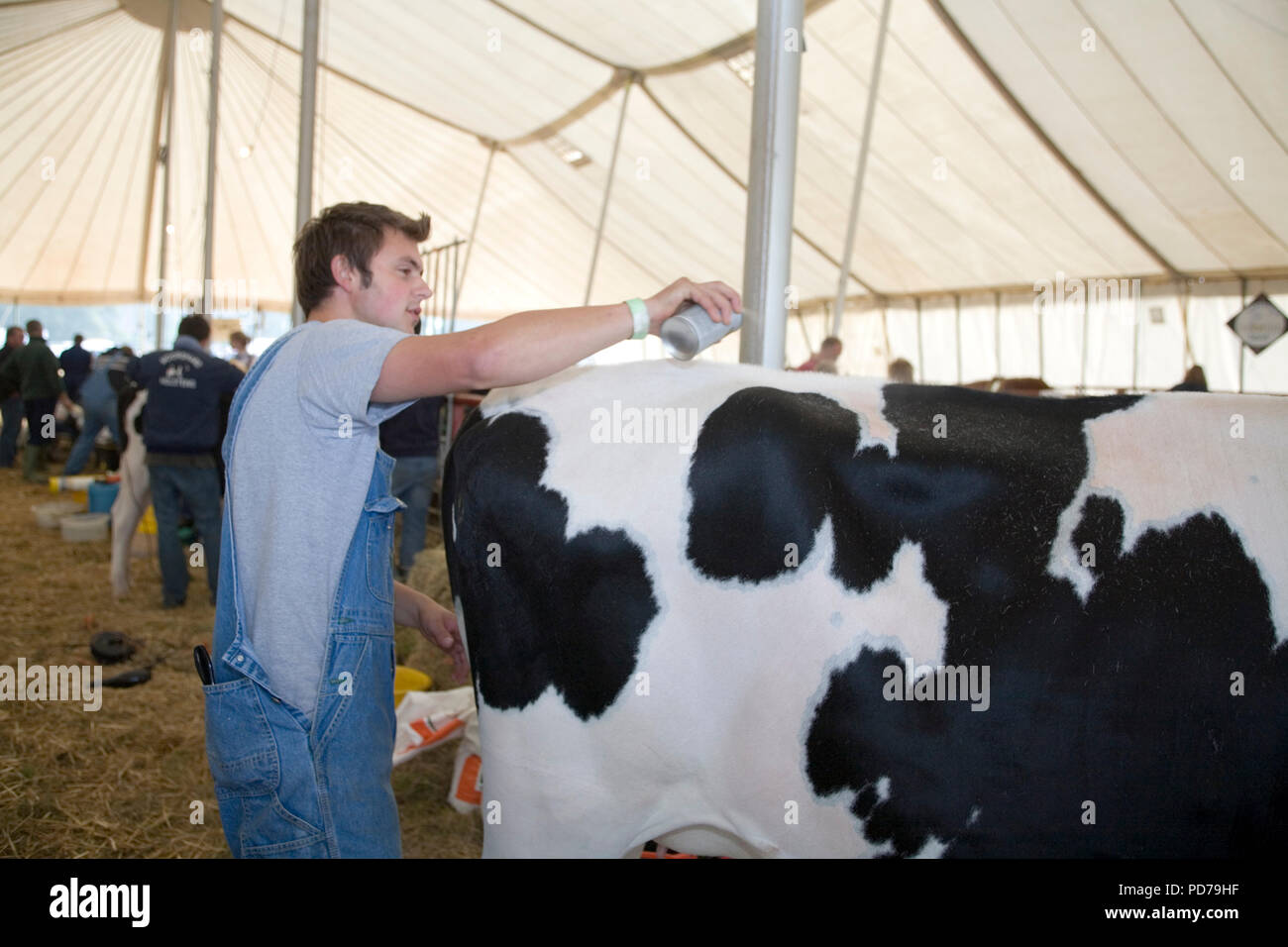 Frome cheese show hi-res stock photography and images - Alamy