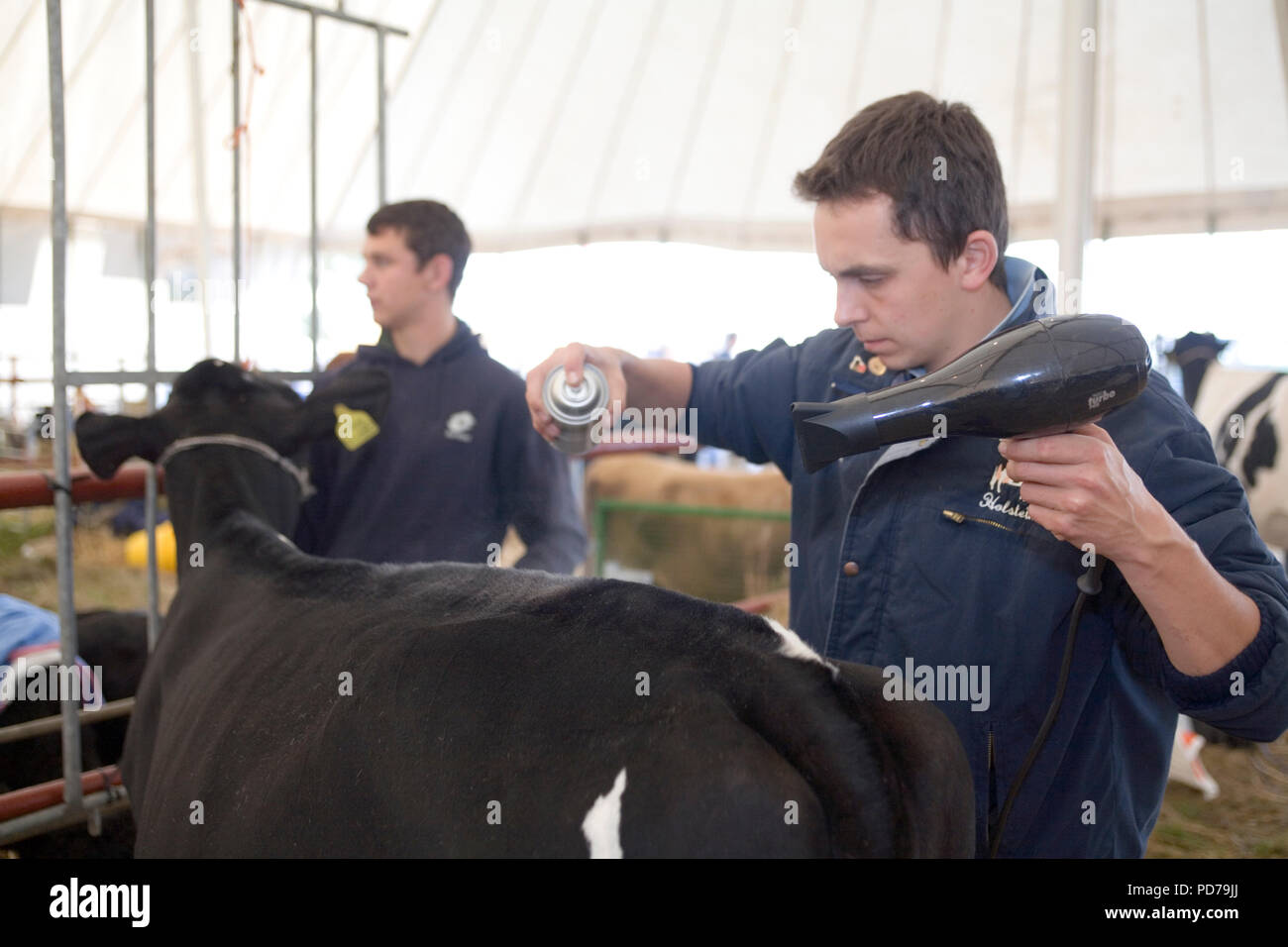 Frome Cheese Show 2006 Stock Photo - Alamy