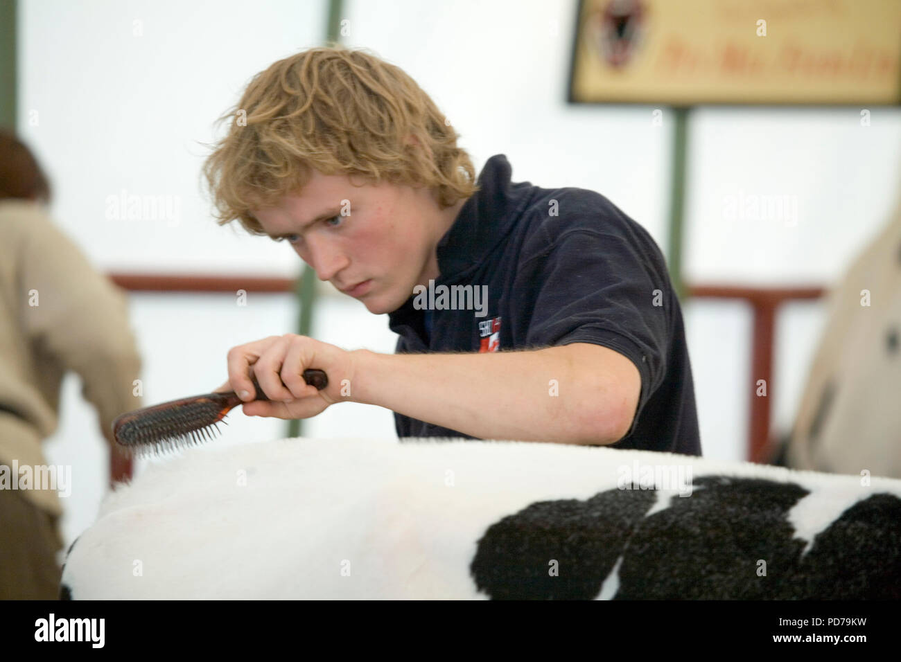 Frome Cheese Show 2006 Stock Photo - Alamy