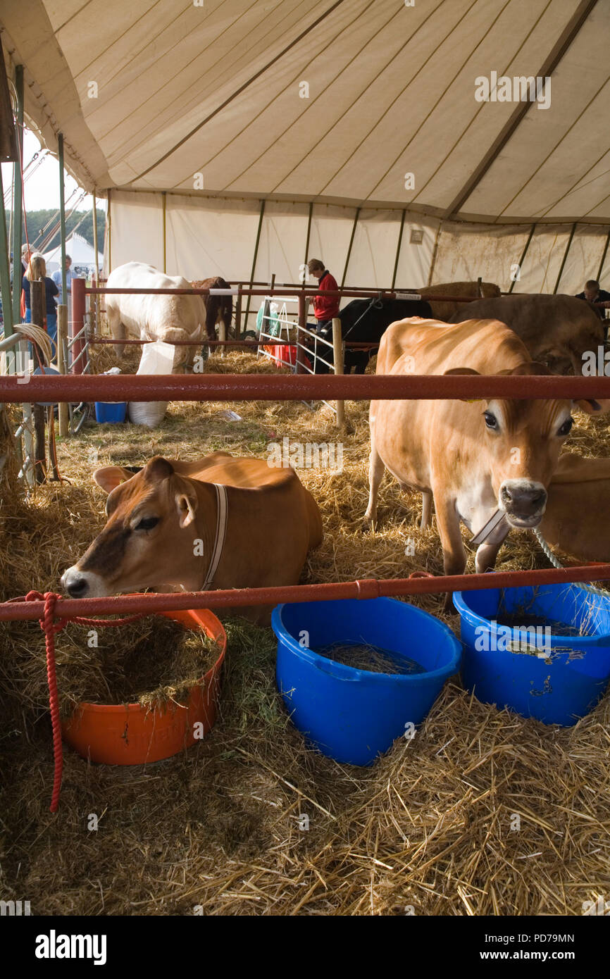 Frome Cheese Show 2006 Stock Photo - Alamy