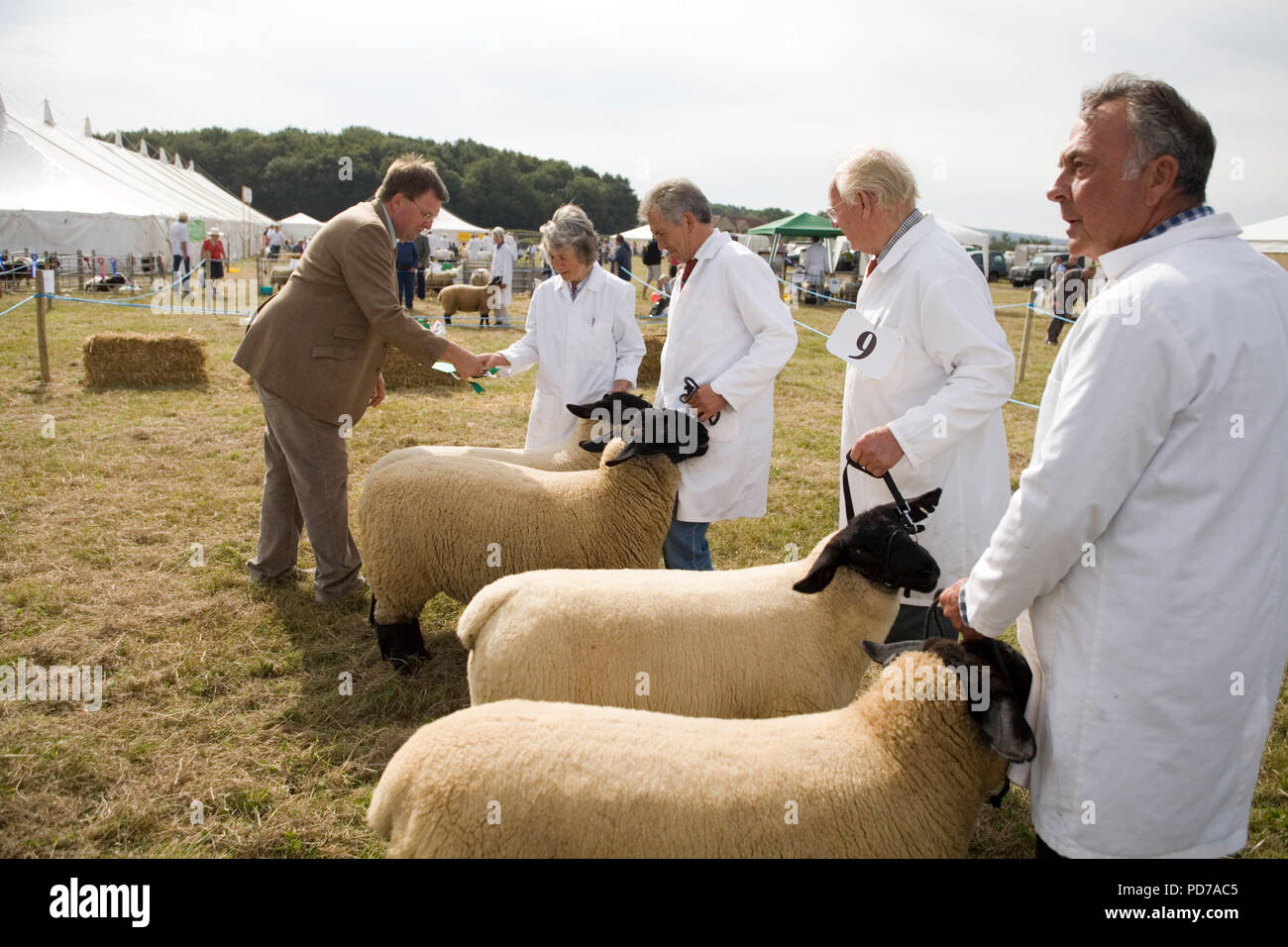 Frome Cheese Show 2006 - Sheep Stock Photo - Alamy