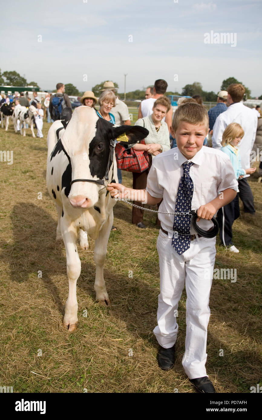 Frome cheese show hi-res stock photography and images - Alamy