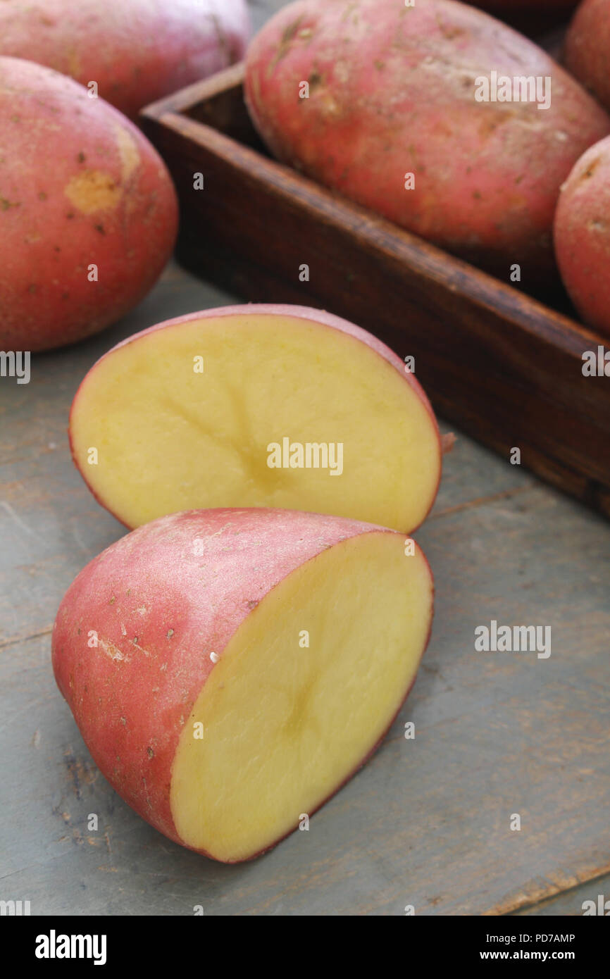 Red rooster potatoes hi-res stock photography and images - Alamy