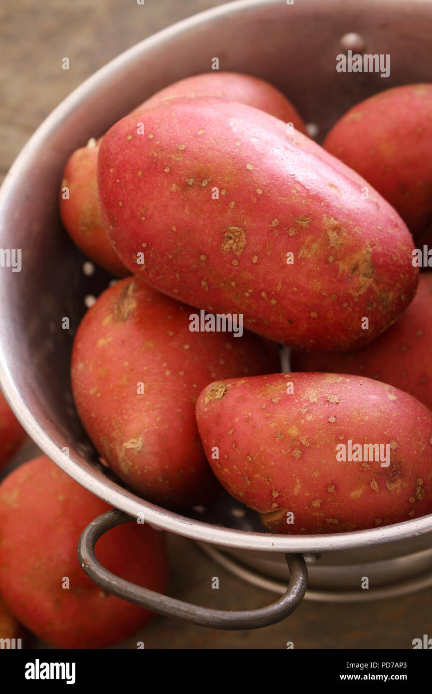 preparing fresh potatoes Stock Photo - Alamy