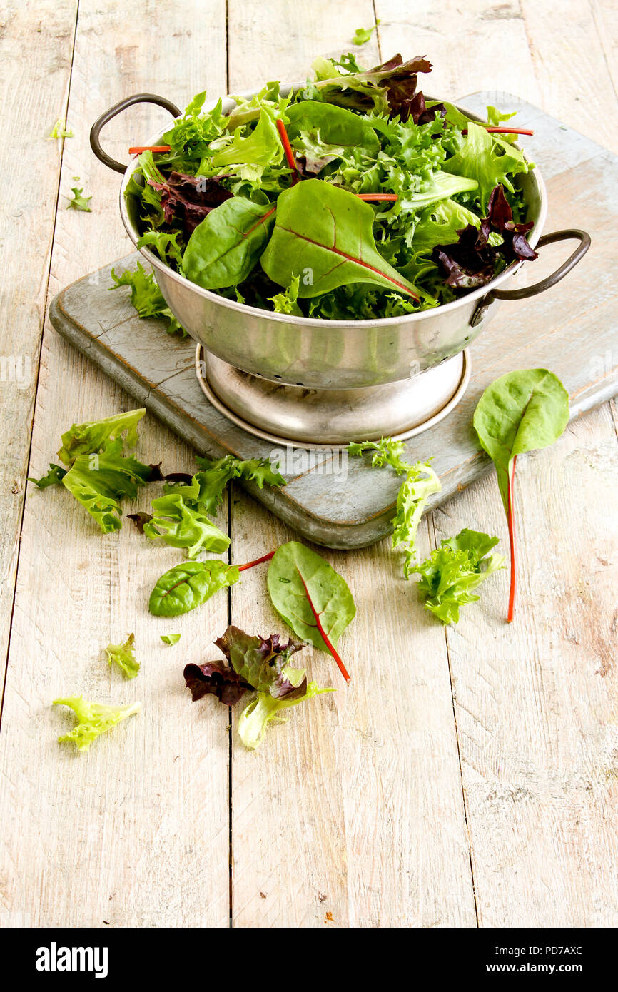 fresh salad leaves Stock Photo - Alamy