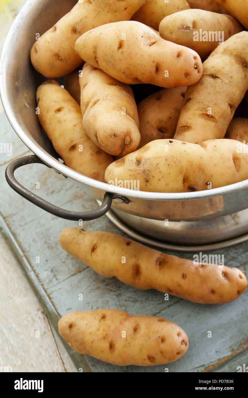 Anya Potatoes Stock Photos & Anya Potatoes Stock Images - Alamy