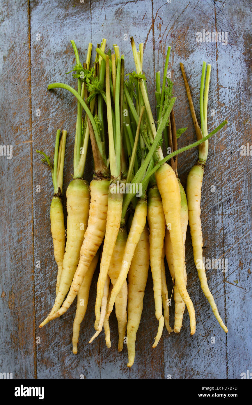 preparing small baby carrots Stock Photo - Alamy
