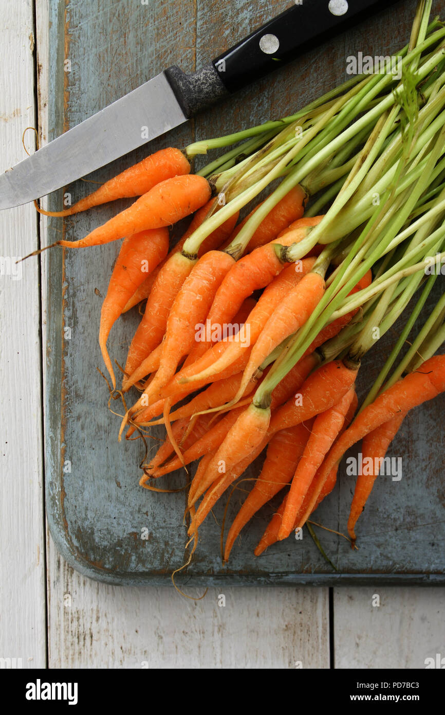 preparing small baby carrots Stock Photo - Alamy