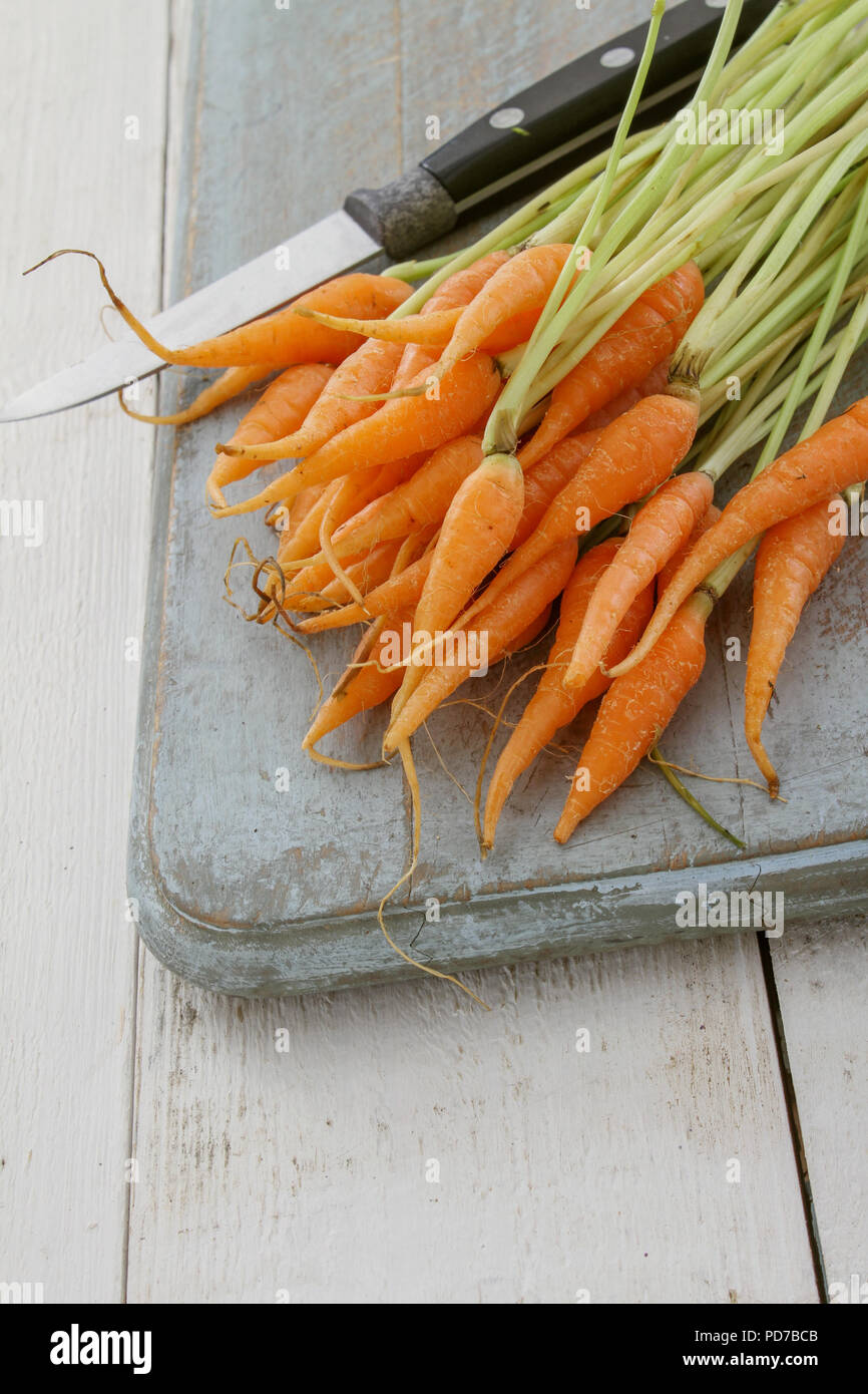 preparing small baby carrots Stock Photo - Alamy