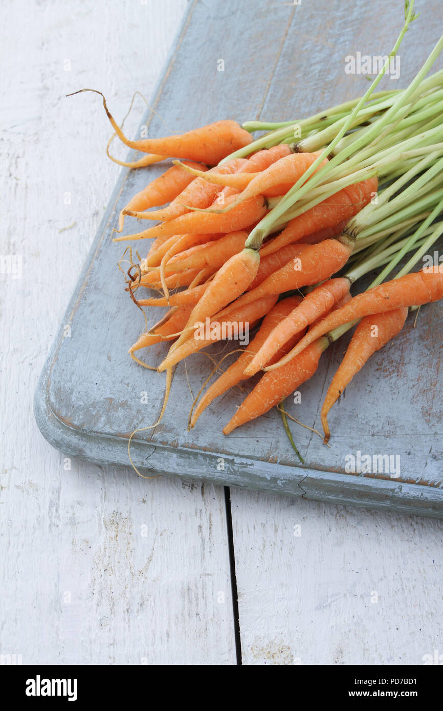 preparing small baby carrots Stock Photo - Alamy