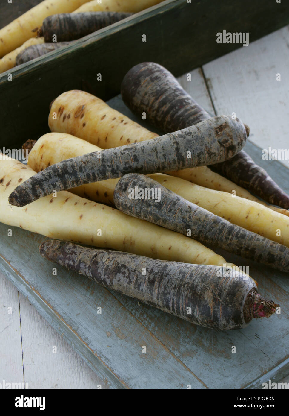 preparing fresh carrots Stock Photo - Alamy