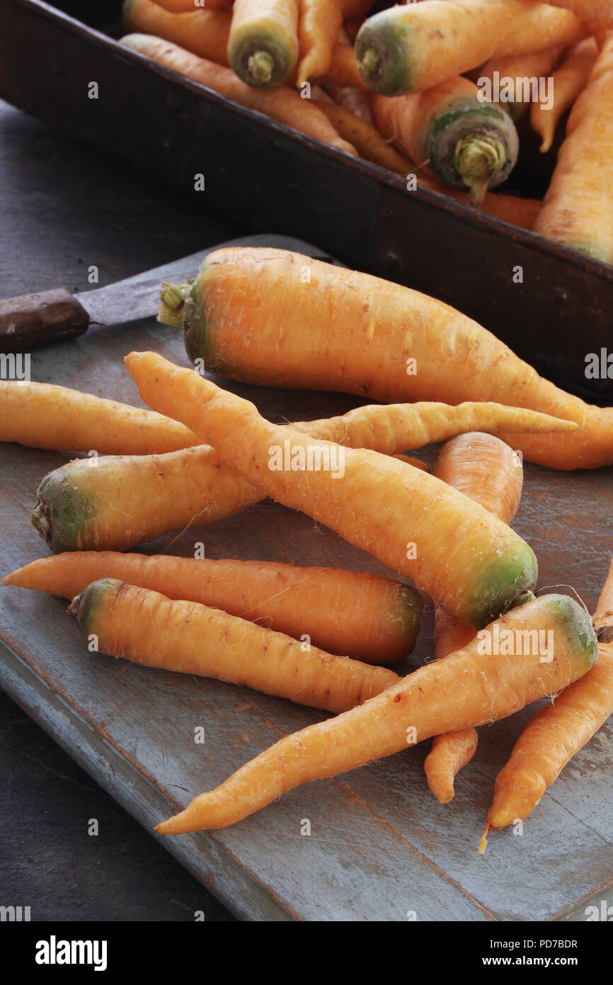 Pale white carrot hi-res stock photography and images - Alamy
