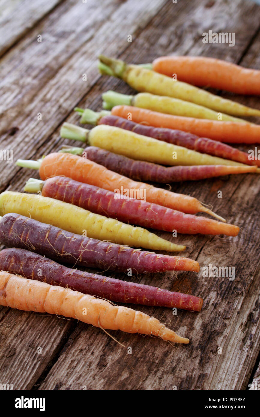 preparing fresh carrots Stock Photo - Alamy