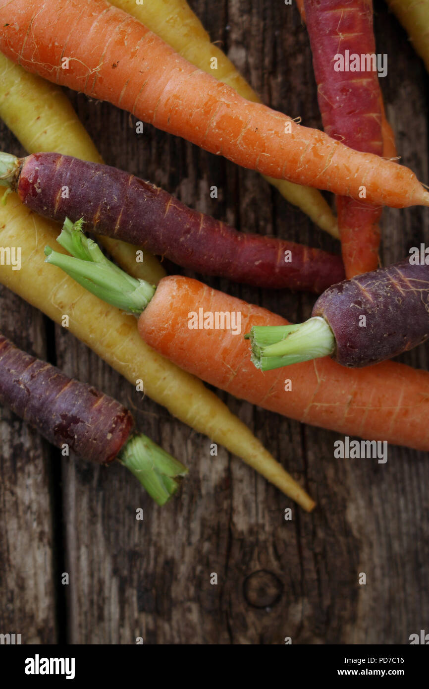 preparing small baby carrots Stock Photo - Alamy